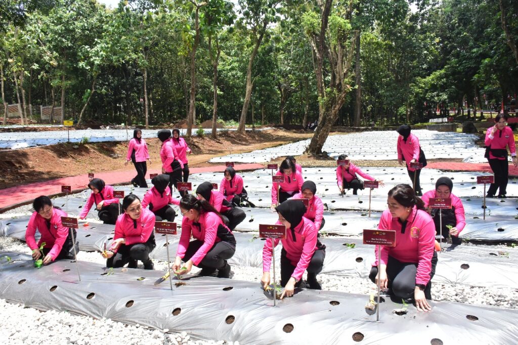 Program Akpol Semarang Bisa Jadi Role Model Ketahanan Pangan - Malang ...
